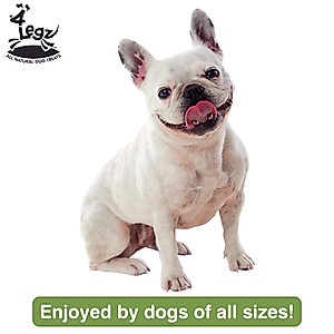 4Legz Organic Pumpkin Vegan Dog Treats from Low Fat & Crunchy Natural Snack Biscuits for Dogs Small, Medium & Large - Made in USA Products Only (7 Ounce, Pack of 1)