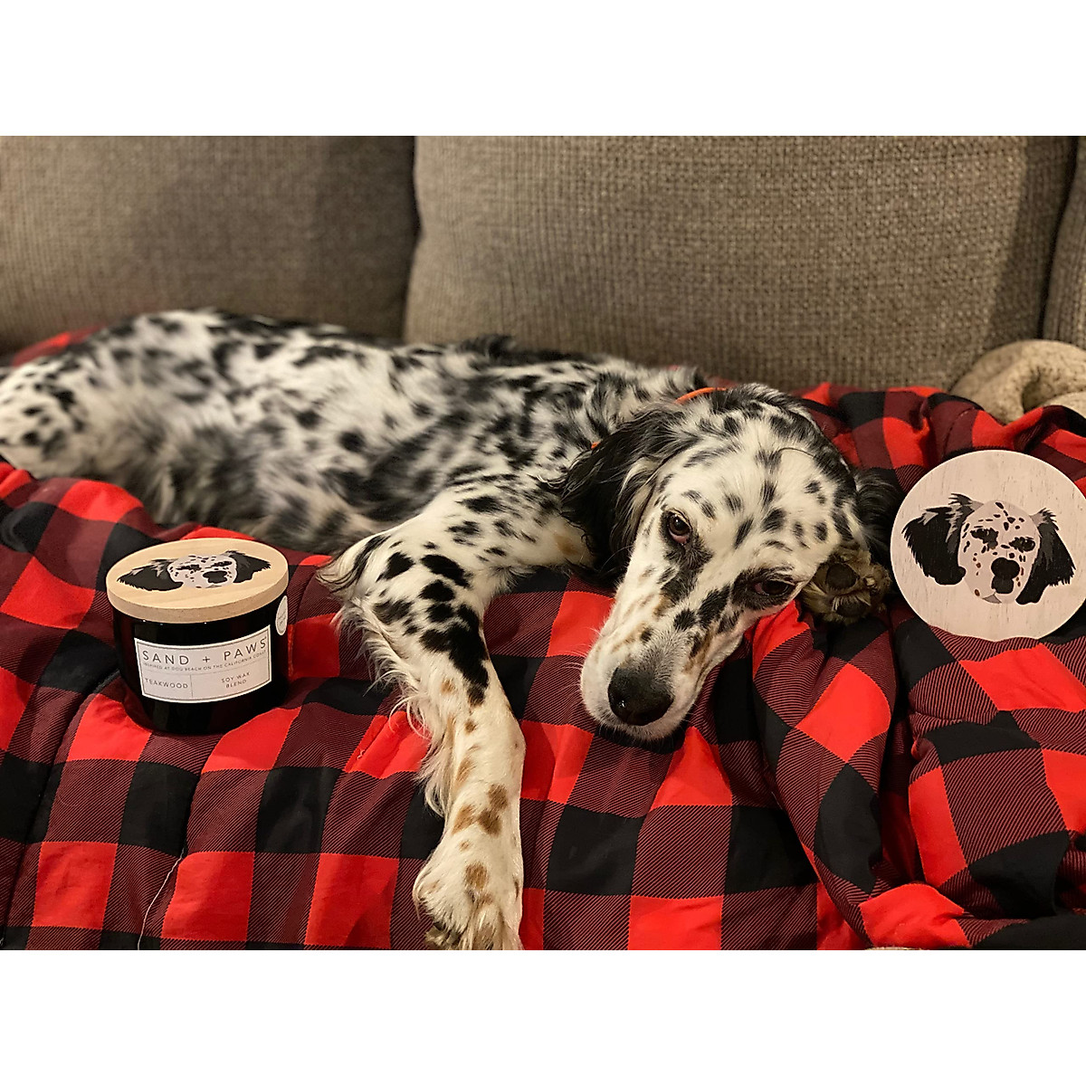 Sand + Paws Scented Candle - Vanilla Sandalwood –Luxurious Air Freshening Jar Candles Neutralize pet Odors and Enhance Home décor – 100% Cotton Lead-Free Wicks - 12 oz