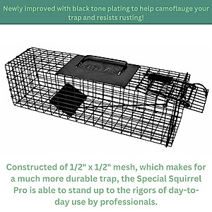 Special Squirrel Standard Cage Trap - Heavy Duty Black Mesh Snare - Safe and Effective Squirrel Control for Commercial and Residential Use - Great for Barns, Garages & Sheds