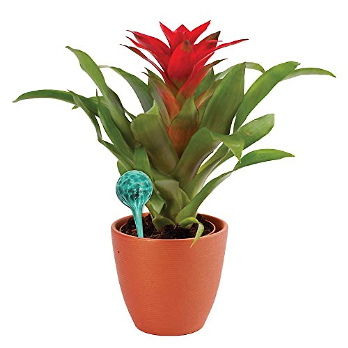 Wyndham House 4 Piece Plant Watering Globe Set, Colorful Hand-Blown Glass, Automatic Watering System