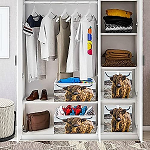 Kigai Cool Highland Cow Storage Bin Closet Organizers Collapsible Toy Storage Rectangular for Home Organization Shelf Store Bins Container, 15.7" x 11" x 7"