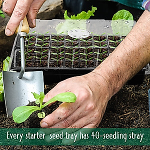 10 Pcs Seed Starter Tray 40 Cells Seed Starter Kit with Humidity Dome and Base Propagation Tray Plant Germination Greenhouse Mini Propagator Station for Seeds Growing, Total 400 Cells(Black,10 Pcs)