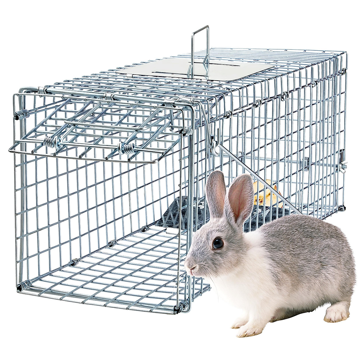Humane Rat Trap Cage Live Rat Traps Humane Cat Traps Catch Release Live Animal Rodent Cage Collapsible Galvanized Wire for Rabbit Small Groundhogs Squirrel Mole Gopher Mice Chipmunk-24X8X7.2In