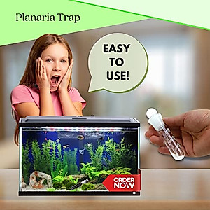 Aquarium Supplies Planaria Trap Crystal Red Shrimp Tank Aquarium Bristle Worm Catcher, Shrimp Dwarf Shrimp Ghost Shrimp Live Freshwater Cleaning Supplies Clear Glass Leeches Catching Tube (3 Holes)
