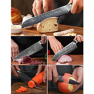 SANMUZUO Chef Cooking Knives Set- Kitchen Knife Set of 5 Piece - Ultra-Sharp VG10 Damascus Steel & Resin Handle - Xuan Series (Starry Black)