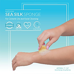 Neptune Natural Sea Soft Silk Sponge - for Cosmetic Use, Art, Facial Cleansing 12pk, 1-1.5 inches