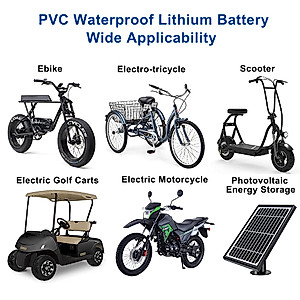 Wallen Power 60V 20AH Ebike Battery, Electric Bicycle Battery for 1800w 1500w 1200w 1000w Bike Motor, Waterproof (PVC) Battery Pack with 40A BMS Protection Board