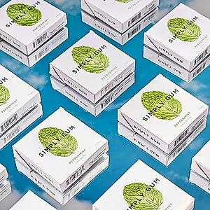 Simply Gum | Peppermint | Pack of Six (90 Pieces Total) | Plastic Free + Aspartame Free + non GMO