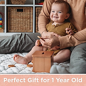 Montessori Coin Box Object Permanence - Wooden Coin Drop Toys for 1 Year Old - Develops Spatial Awareness & Cognitive Skills - Engaging and Educational Activity for Babies and Toddler Coins Toy