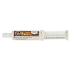 UltraCruz Equine Bio-Absorb Supplement for Horses, 60 ml, Paste (1/4 Day Supply)