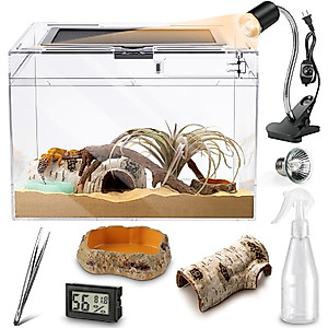 Reptile PC Terrarium, Anti Breakage 15.6x8x10 inch Amphibians Tank Starter Kits, Top Sliding Door Screen Ventilation Mini Habitat Cages, Hygrometer Thermometer, Hide Cave, Tweezer, Sprayer
