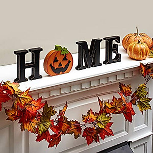 The Lakeside Collection Decorative Tabletop Home Letter Sign with Seasonal Icons - 13 Pieces