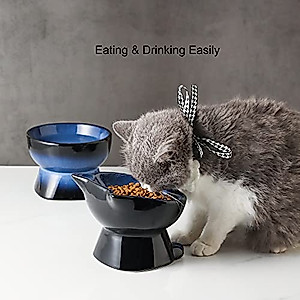 Nihow Elevated Cat/Dog Bowls Set : 5 Inch Ceramic Raised Cat Food and Water Bowl Set for Protecting Pet's Spine - Feeding & Watering Supplies for Pets- Elegant Blue & Black (2PC)