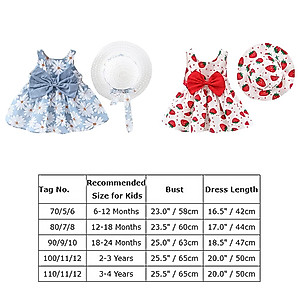 Baby Girls Floral Tutu Dress Summer Sleeveless Backless Princess Birthday Party Dresses Toddler Little Girl First Communion Pageant Flower Ruffle Bow Sundress with Sun Hat Outfit Set Blue 6-12 Months