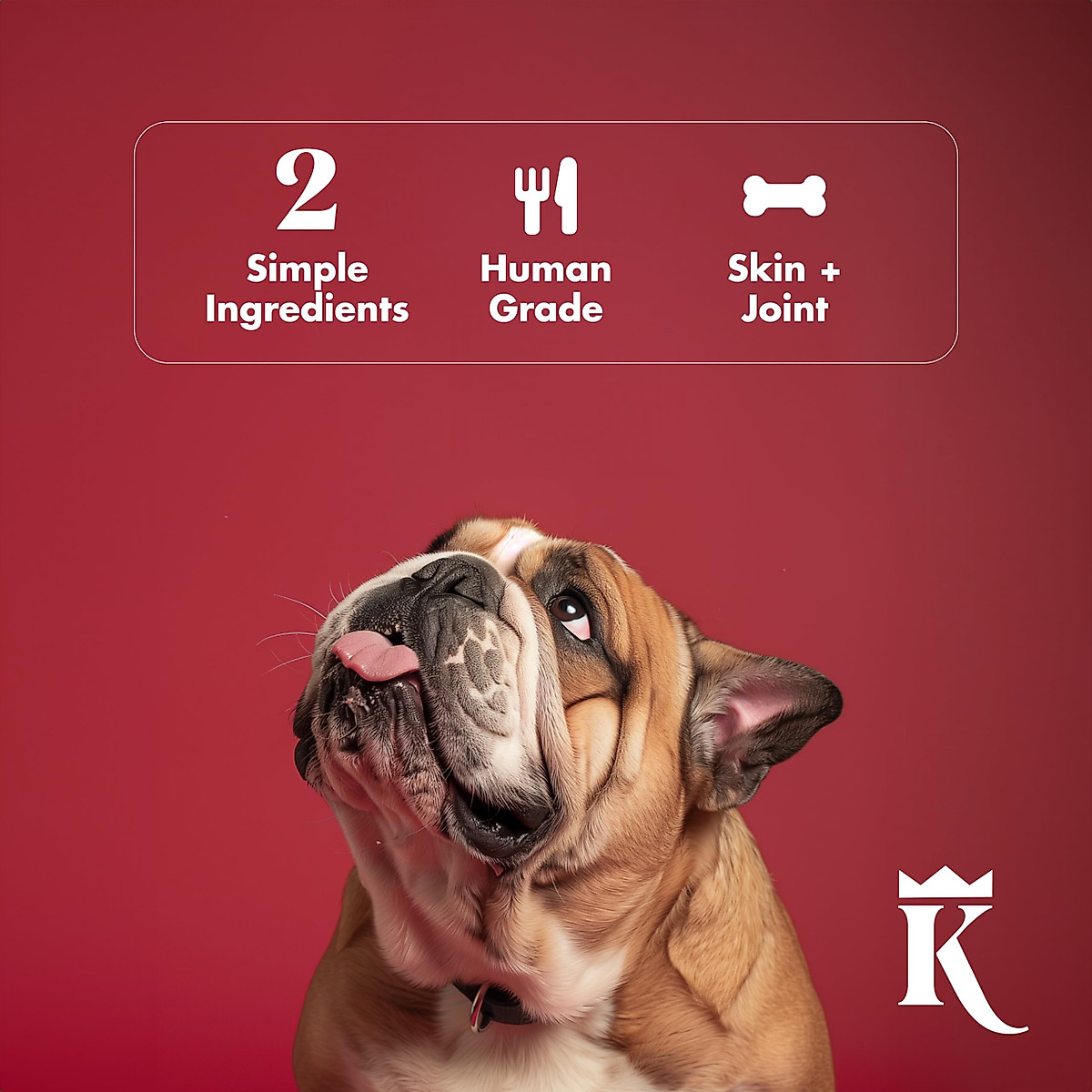 King Lou Pets - Bone Broth Booster Holistic Defense - Beef Bone Broth Topper - Beef Bone Broth and Turkey Tail Mushroom - Bone Broth for Holistic Immune Defense - Bone Broth for Dogs and Cats