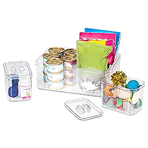 Richards Homewares Clear Plastic Storage Bins-Set of 4 Large, Medium, Small Containers for Closet Fridge Organization, 4 Count