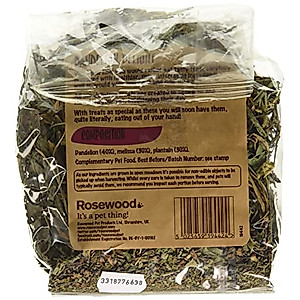 Rosewood Pet 1 Pouch Dandelion Delight Food For Small Animals, 100G