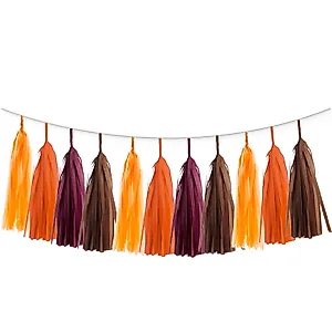 20PCS Maroon Burgundy Burnt Orange Brown Fall Party Tissue Tassel Garland Wall Hanging Banner Streamers Thanksgiving Harvest Bridal Baby Shower Wedding Birthday Nursery Home Office Décor