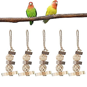 SYH&AQYE 5Pcs Bird Chewing Toys Bird Beak Grinding Stone for Parrots/Hamsters and Other Rodents Cage Hanging Bird Biting String Pet Accessory