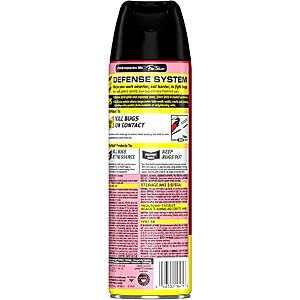 Raid Ant and Roach Killer, Lemon Scent, 17.5 OZ (Pack of 12)
