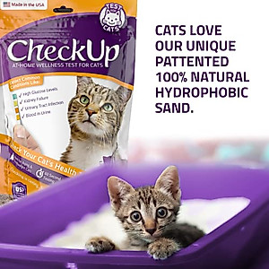 KIT4CAT CheckUp Kit at Home Wellness Test for Cats, Hydrophobic Litter for Urine Collection & Test Strips for Detection of Levels of Glucose, Protein, pH and Blood in Urine
