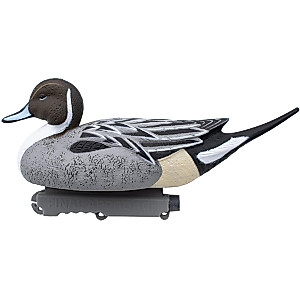 Final Approach Last Pass Floating Pintail Decoy, 12 Pack