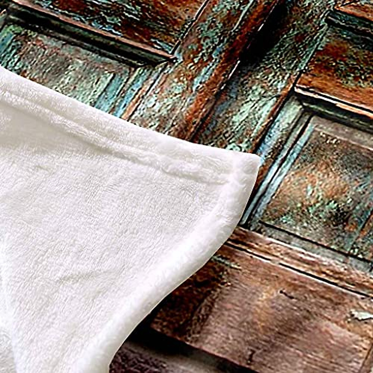 NARBOR Soft Fleece Throw Blanket - Fluffy Microfiber Solid Blankets for Bed and Couch Double/Single Size - 59X79Inch Blue, Wooden Door Printed Flannel Blanket for Bed, Couch and Sofa