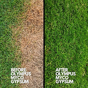 Gypsum Powder for Mushroom Substrate (1 lb), Lab Grade, Garden Soil Amendment (Calcium Sulfate Dihydrate), Packaged in HEPA Enclosure