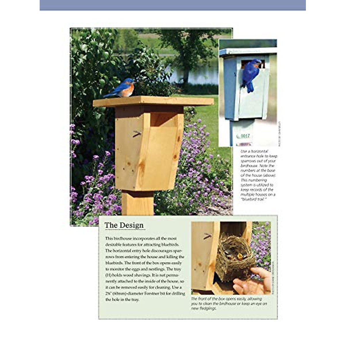 Birdhouses, Boxes & Feeders for the Backyard Hobbyist: 19 Fun-to-Build Projects for Attracting Birds to Your Backyard (Fox Chapel Publishing) Step-by-Step Suet Feeders, Nest Boxes, Bat Boxes, and More