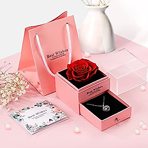 Preserved Red Real Rose with I Love You Necklace in 100 Languages, Eternal Enchanted Rose Flower Gifts for Women Mom Wife Girlfriend Valentines Day Anniversary Mothers Day Birthday Gifts for Her