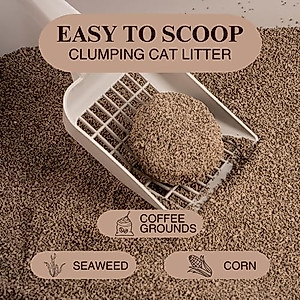 Natural Cat Litter from Upcycled Coffee Grounds - Alternative to Clay and Pellet Litter - Unscented Cat Litter Clumping - Lightweight Litter - Powerful Odor Control - Easy to Scoop - 13 LB