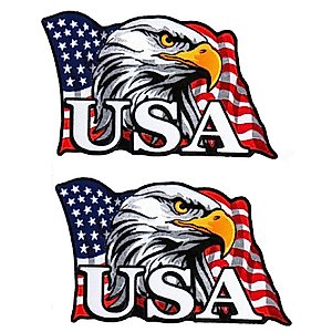 Patch Force Eagle Head Flag, High Thread Embroidered Patch 2PC Bundle Set - 4 x 3 Inch Iron On Sew On B453