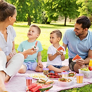 wewnen 12 Pack Salad Dressing Container 4 oz Plastic Leak Proof Condiment Container With Screw Cap Reusable Stackable Food Storage Freezer Containers