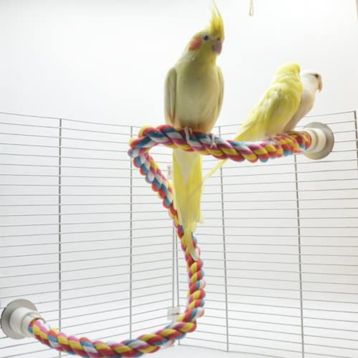 Bird Rope Perches, Colorful Cotton Parrot Toys Comfy Perch for Rope Bungee Bird Toy for Parakeets, Cockatiels, Conures, Lovebirds, Budgie (Large)