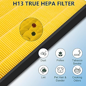 2Pack Vital 200S True HEPA Filters Replacement for LEVOIT Vital 200S Pet Allergy Air Purifier, H13 Grade Ture HEPA Filter and High-Efficiency