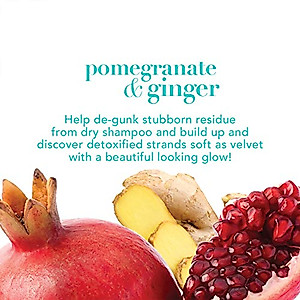 OGX Detoxifying + Ginger Conditioner, Pomegranate, 13 Fl Oz