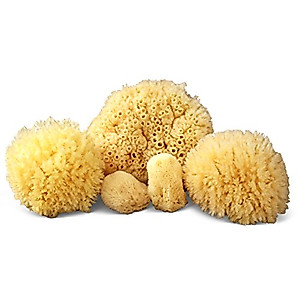 Real Natural Sea Sponges Multipack - 5pc Spa Gift Set in Premium Bag, Kind on Skin, for Bath Shower Facial Cleansing, Pamper Moms Brides Girlfriends & Teens by Constantia Beauty®
