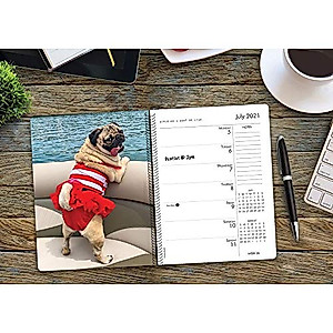 Doug the Pug 2021 Engagement Calendar (Dog Breed Calendar)