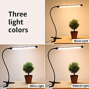 MINEGROW Book Light for Reading in Bed,Desk Light,Eye-Friendly and 3 Colors Desk Lamp with Clamp,Adjustable Goose Neck&Brightness,Desk Lamps for Home Office