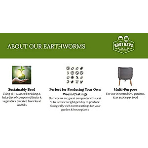 BROTHERS WORM FARM - 100 Live Red Wiggler Composting Worm Mix. Worms for Composting and Creating Worm Castings at Home. Ideal for Worm Composters, Gardens, and Worm Bins.