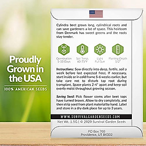 Survival Garden Seeds - Cylindra Beet Seed for Planting - 3 Packs with Instructions to Plant and Grow Dark Red Beets in Your Home Vegetable Garden - Non-GMO Heirloom Variety
