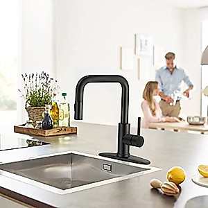 Kitchen Faucet Single Handle Stainless Steel Kitchen Sink Faucet with Pull Out Sprayer Matte Black