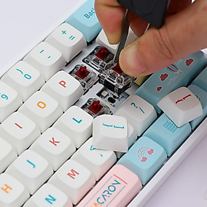 EPOMAKER SK61 61 Keys Hot Swappable Mechanical Keyboard with RGB Backlit, NKRO, IP6X Waterproof, Type-C Cable for Win/Mac/Gaming (Gateron Optical Brown, Macaron)