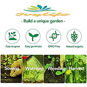 Set of 20 Assorted Organic Vegetable Seeds & Herb Seeds for Planting 20 Varieties Create a Deluxe Garden All Seeds are Heirloom, 100% Non-GMO Lettuce Seeds, Sweet & Hot Pepper Seeds, Green Onion Seeds