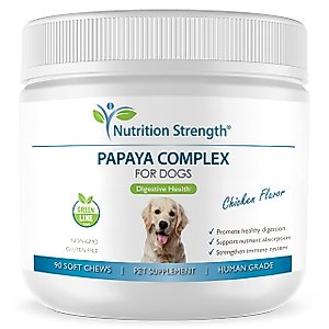 Nutrition Strength Papaya for Dogs Digestive Enzyme Complex to Support Normal Intestinal Function, Boost Immunity, with Organic Papaya Fruit + Papain, Protease & Amylase, 90 Soft Chews