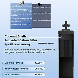 Water Filter Replacement for Berkey Water Filter, 2 Activated Carbon Filters and 2 Fluoride Filters Compatible with Purifiers Berkey Gravity Water Filter System, Pack of 4