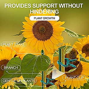 Yinghezu 40 Pcs Plant Support Clips,Flower and Vine,Garden Tomato Plant Support Clips for Supporting Stems,Vines Grow Upright Climbing,Tool for Straightening,Tomato Cage,Trellis. 2 Sizes in one Pack