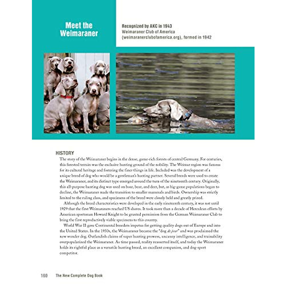 The New Complete Dog Book, 22nd Edition: Official Breed Standards and Profiles for Over 200 Breeds (CompanionHouse Books) American Kennel Club's Bible of Dogs: 920 Pages, 7 Variety Groups, 800 Photos