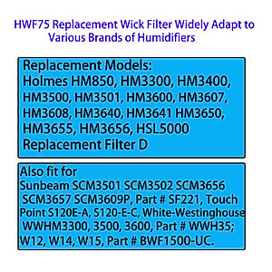 HOMFILBIT HWF75 Replacement Wick Filter Fit for Holmes HWF75 HWF75CS HWF75PDQ-U HF222, Replace Filter D (2 Pack)