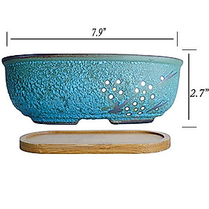 ARTKETTY Succulent Pots, 7.9" Rectangle Succulent Planters with Drainage Tray, Shallow Planters for Indoor Plants Ceramic Cactus Pots Bonsai Flower Plant Container for Home Windowsill Decor